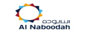 Nalsoft – Oracle Enterprise Application Implementation Services Dubai ...